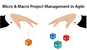 Micro & Macro Project Management in Agile Framework – Yodiz Project ...